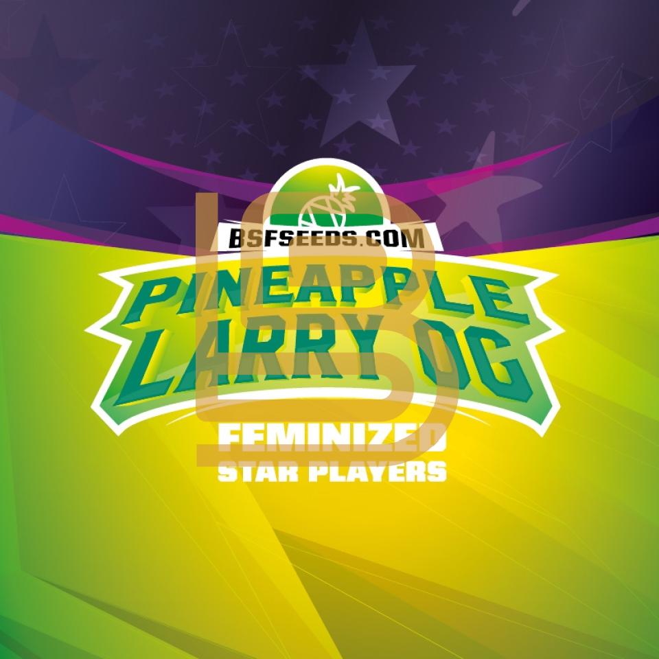 2 FEM SEEDS - PINEAPPLE LARRY OG | BBseeds