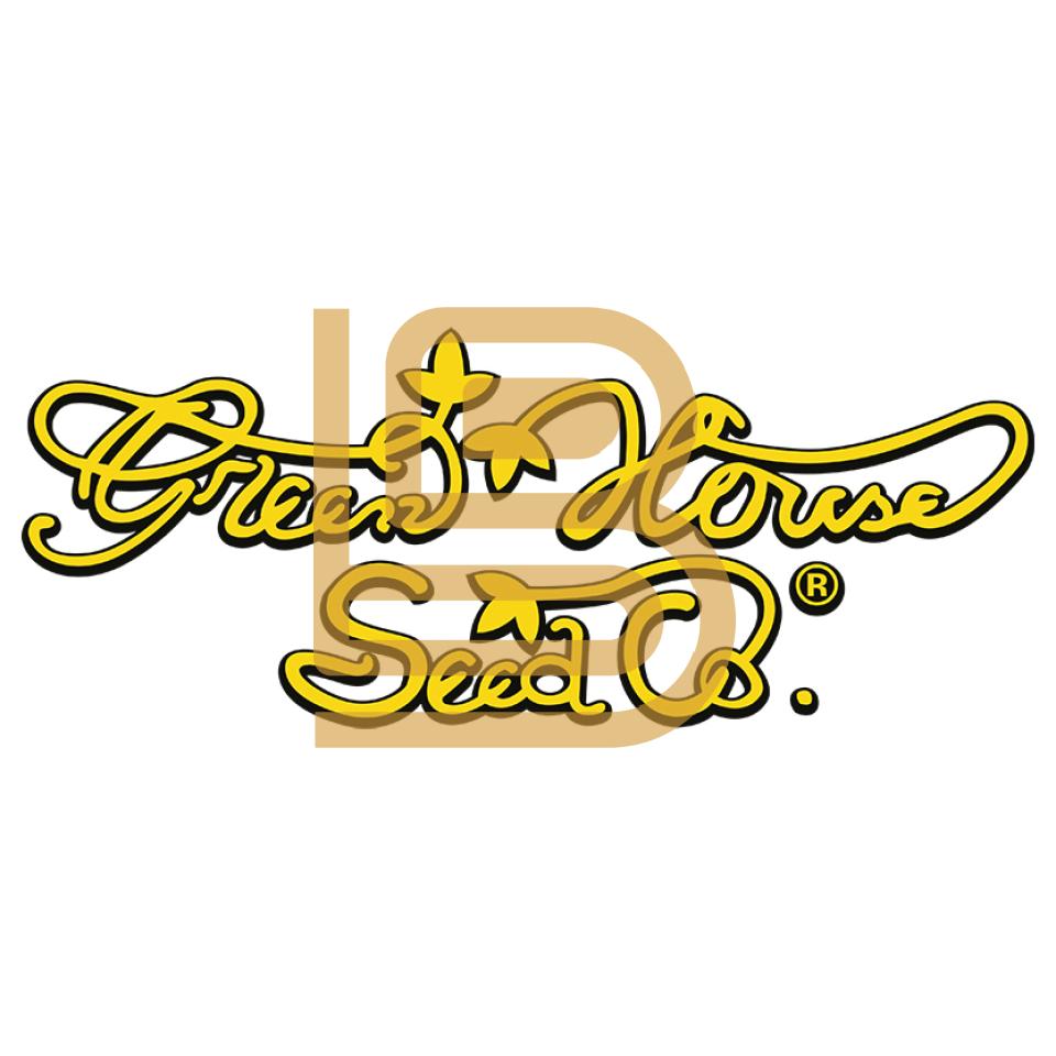 3 U. FEM - GUAVA X GELATO 41 AUTO | BBseeds